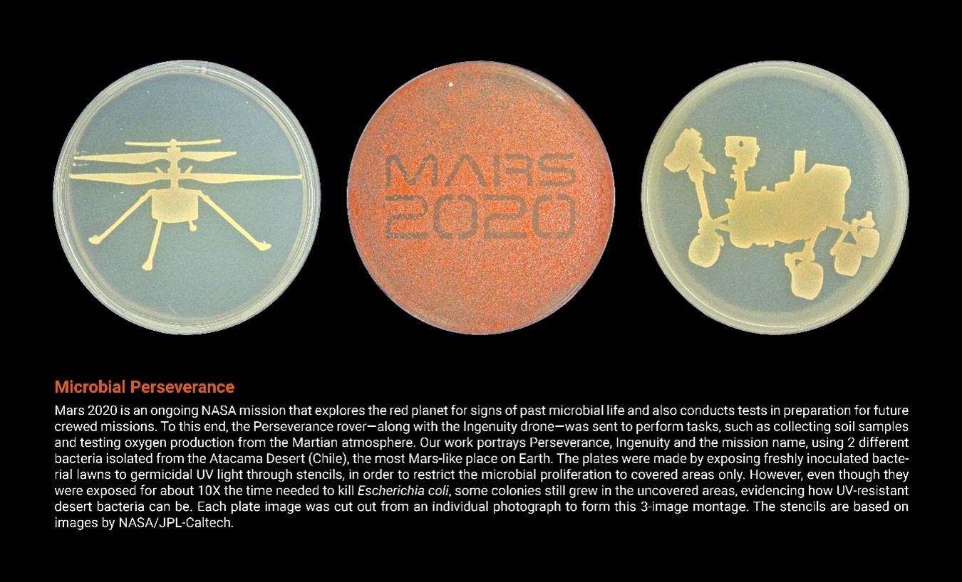 Equipo U. de Chile es premiado en competencia de Arte Agar de la Sociedad Americana de ...