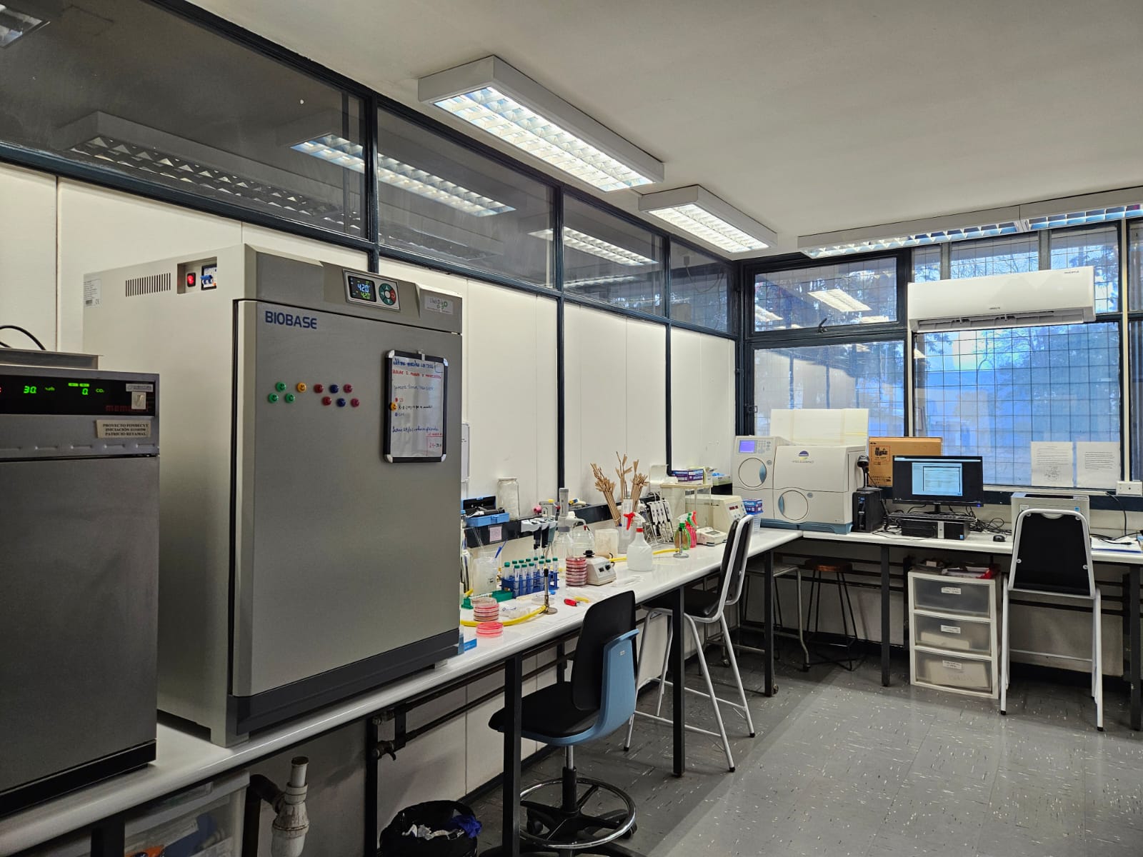 Diplomado en técnicas de laboratorio para el diagnóstico de ...