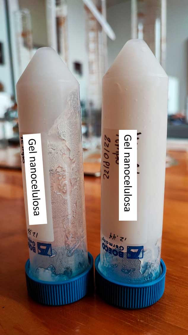 Nanocelulosa: El material del futuro que es más fuerte y liviano que el ...