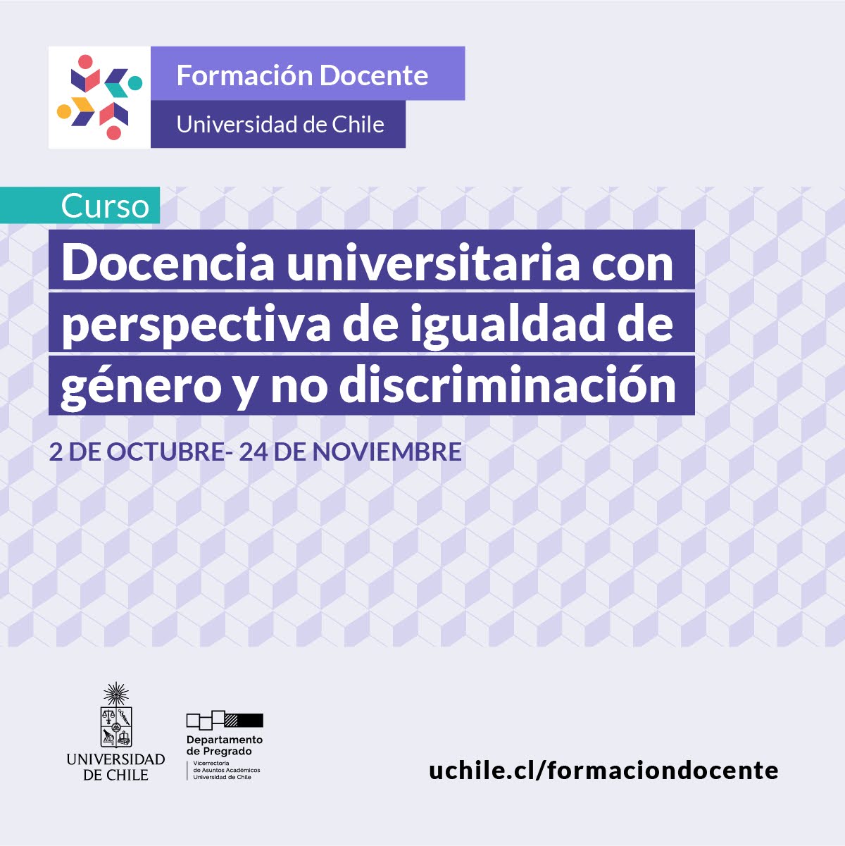 Curso: Docencia universitaria con perspectiva de igualdad de género y no discriminación ...