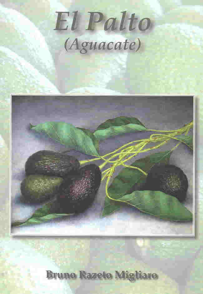 El palto; aguacate - Universidad de Chile