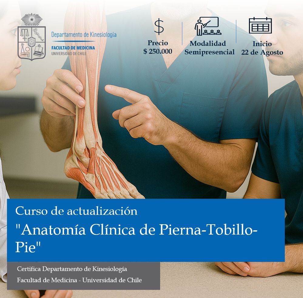 Curso de anatomía clínica de pierna-tobillo-pie - Universidad de Chile