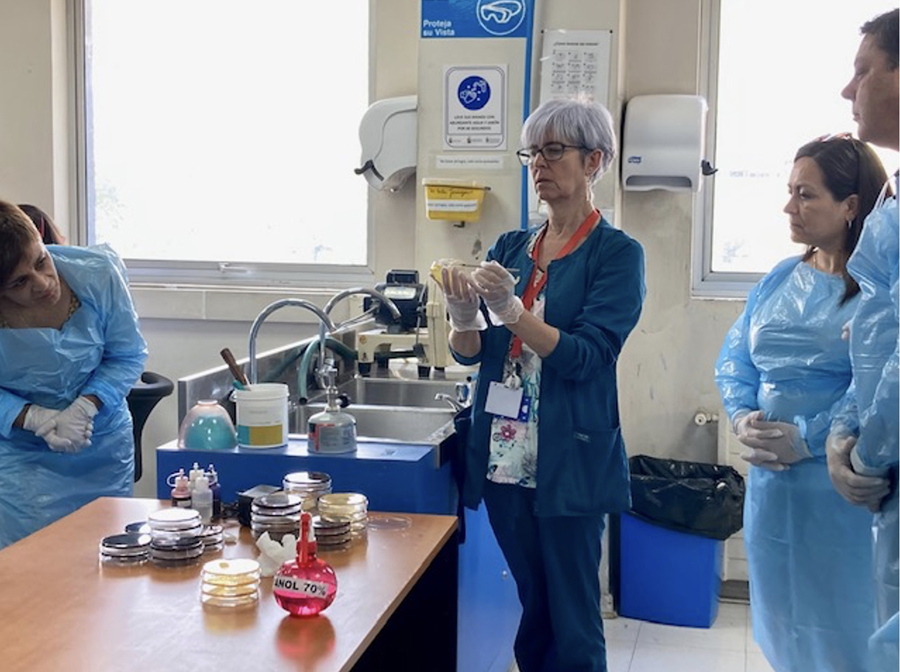 Exitoso Curso Microbiología General y Oral - Universidad de Chile